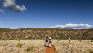 National Parks - Kidman Way